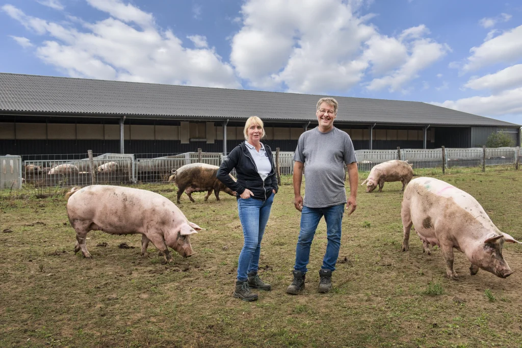 Beesel - Familie Bongers - Livar, Limburgs Kloostervarken